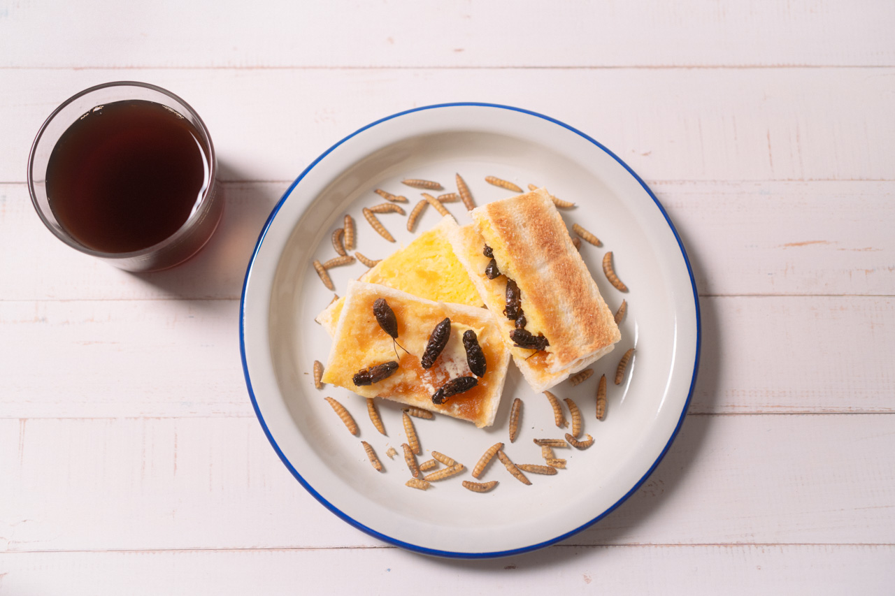 7 Days of Eating Fried Crickets to Normalise Insect Kaya Toast